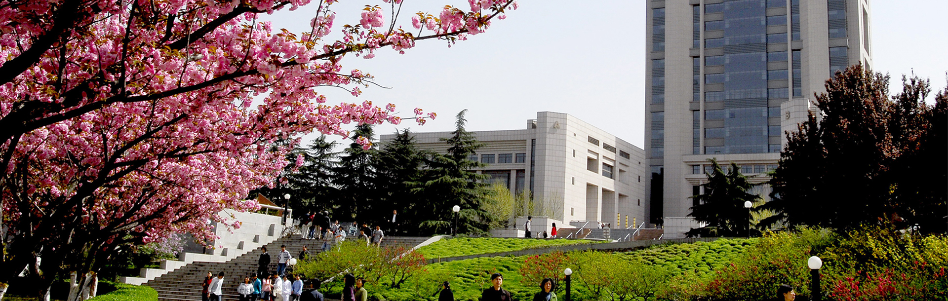 张宇翔-成都理工大学管理科学学院